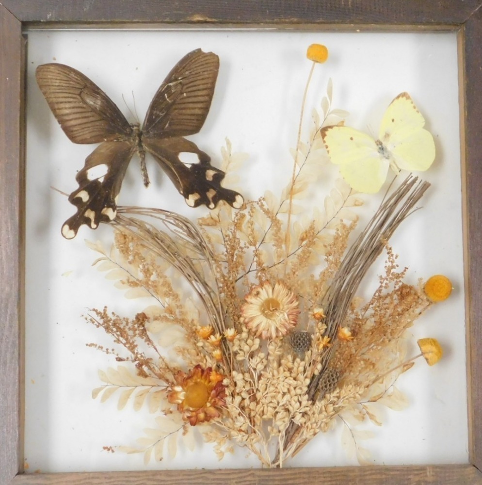 Books: Keble Martin (Rev W) and Fraser (Gordon T) (Editors) Flora of ...