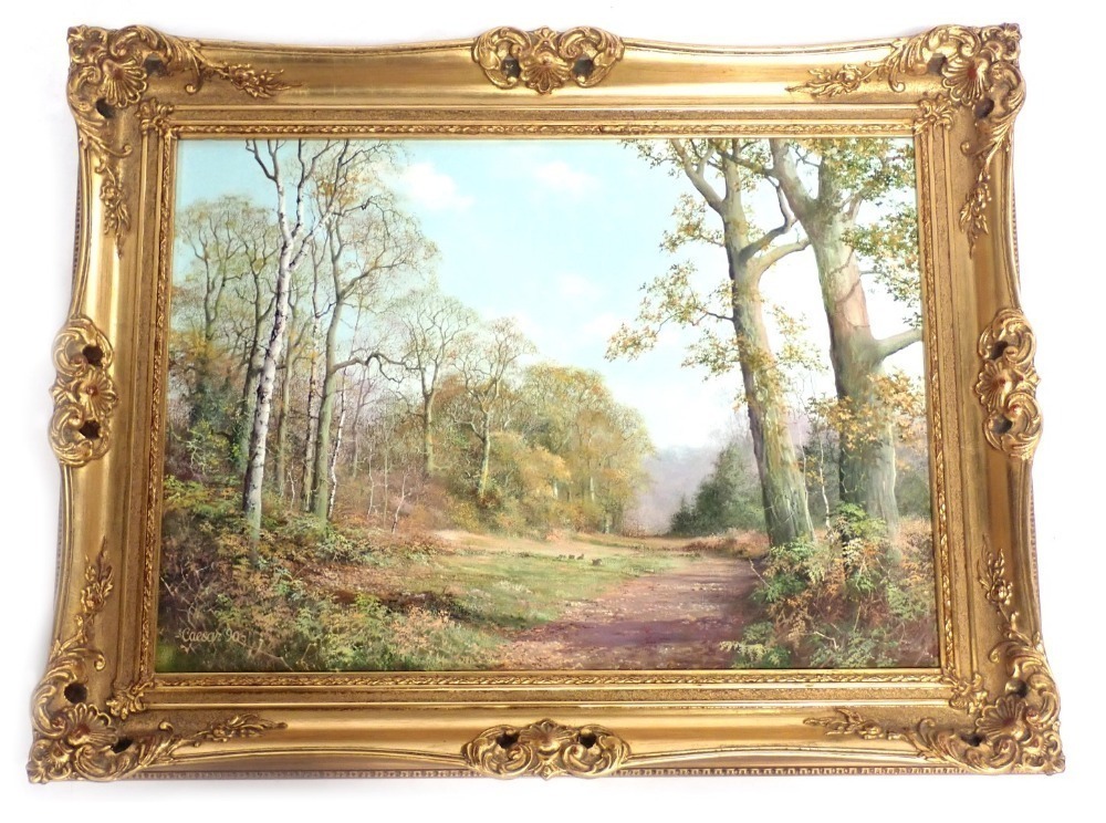 John Caesar Smith (b.1950). Autumn sunlight, oil on canvas, signed and ...