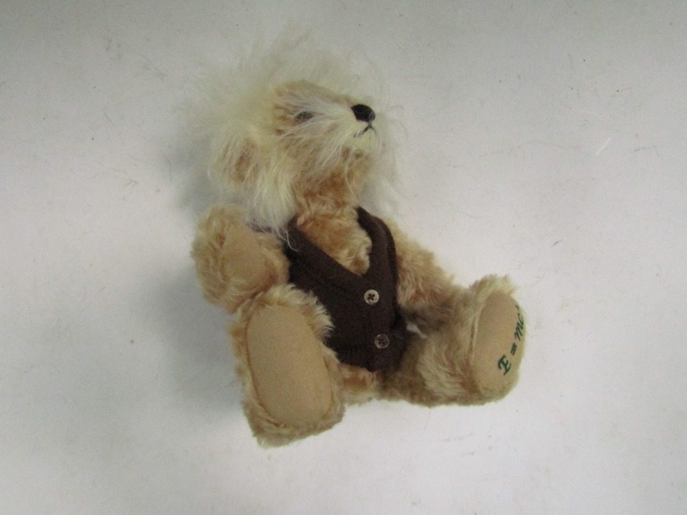 A Steiff Albert Einstein E=MC2 mohair Teddy Bear, 28cm high.