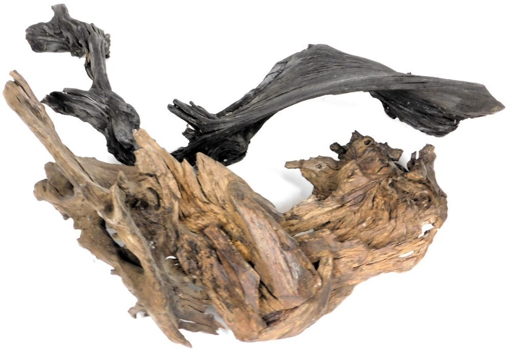 Three pieces of bog wood, in varying stages of fossilization.