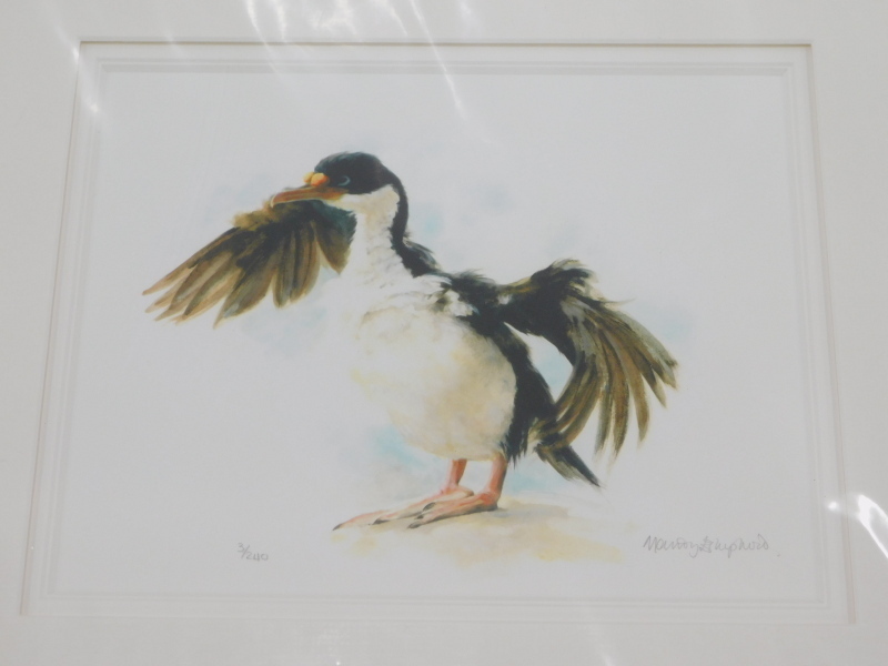 Mandy Shepherd. Squirrel, artist signed limited edition coloured print ...