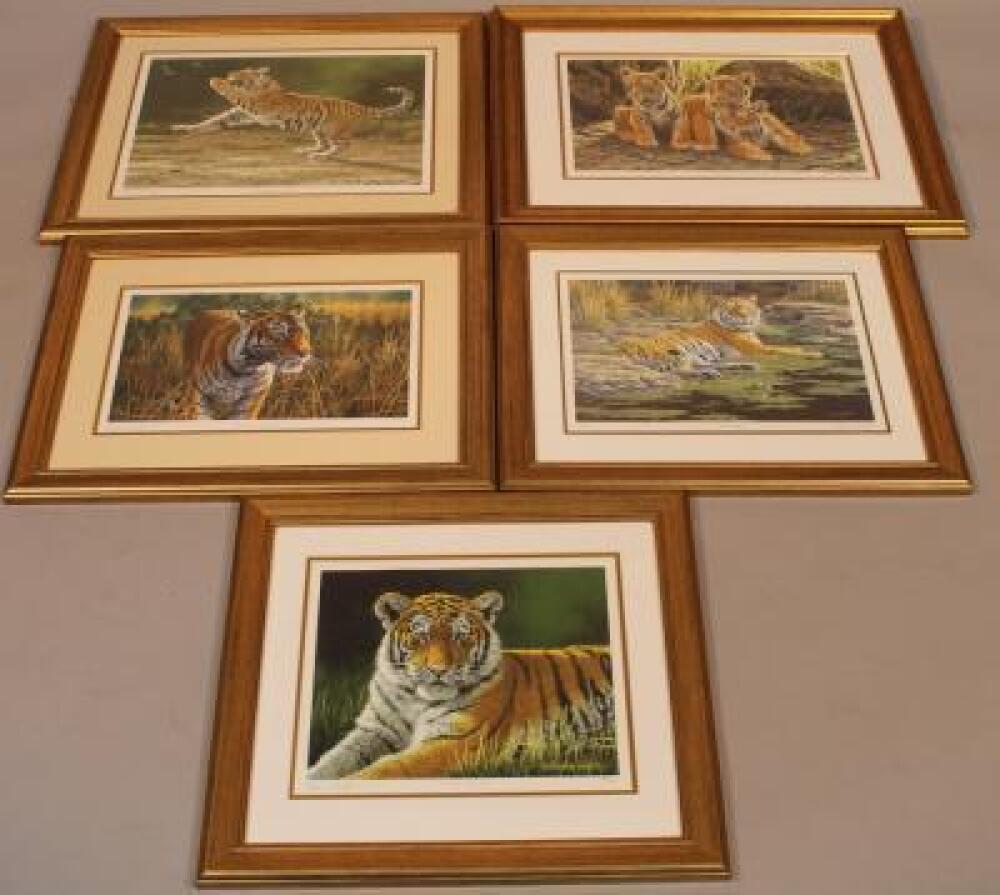 Five limited edition Stephen Gayford pictures of tigers