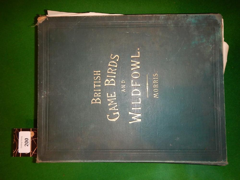Morris (Beverly R). British Game Birds and Wildfowl