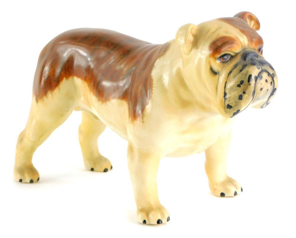 A Beswick model of a Bulldog, Champion Baseford British Mascot, 20cm long.