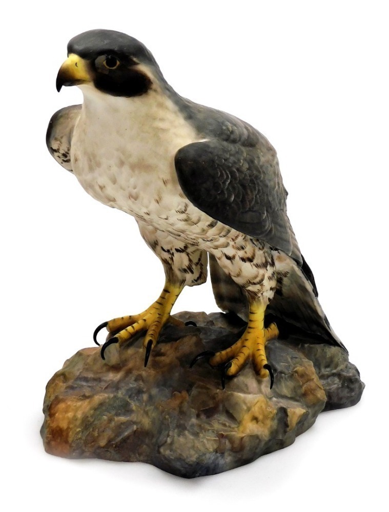 A Royal Crown Derby figure of a Peregrine Falcon, 24cm high.
